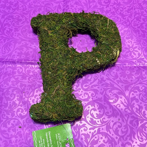 Ashland | Accents | New Ashland Decorative Naturals Moss Monogram ...
